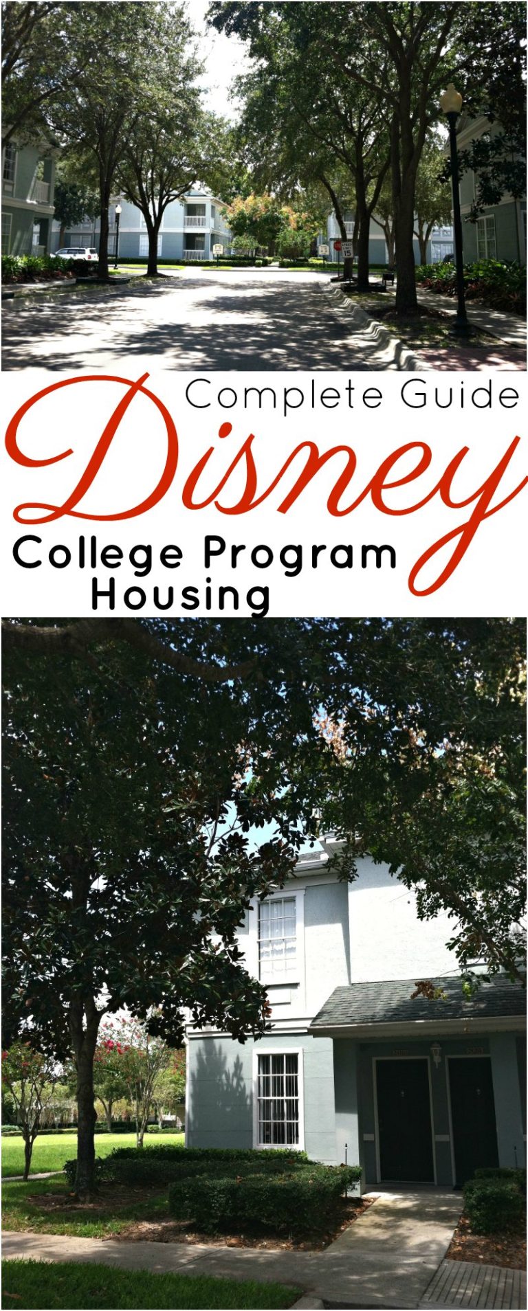 Complete Guide to Disney College Program Housing