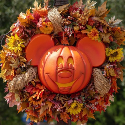 Tips for Visiting Disney World in October