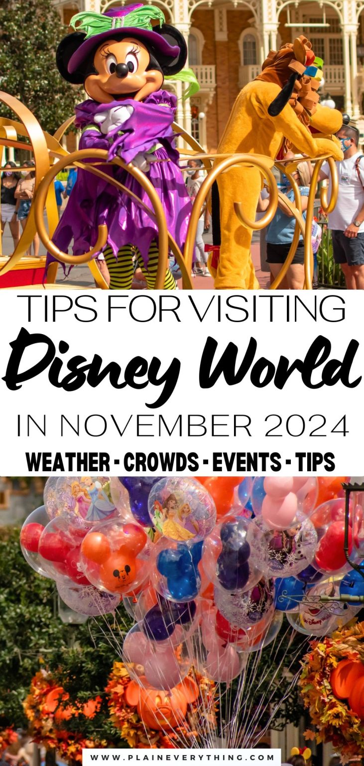 Tips for Visiting Disney World in November