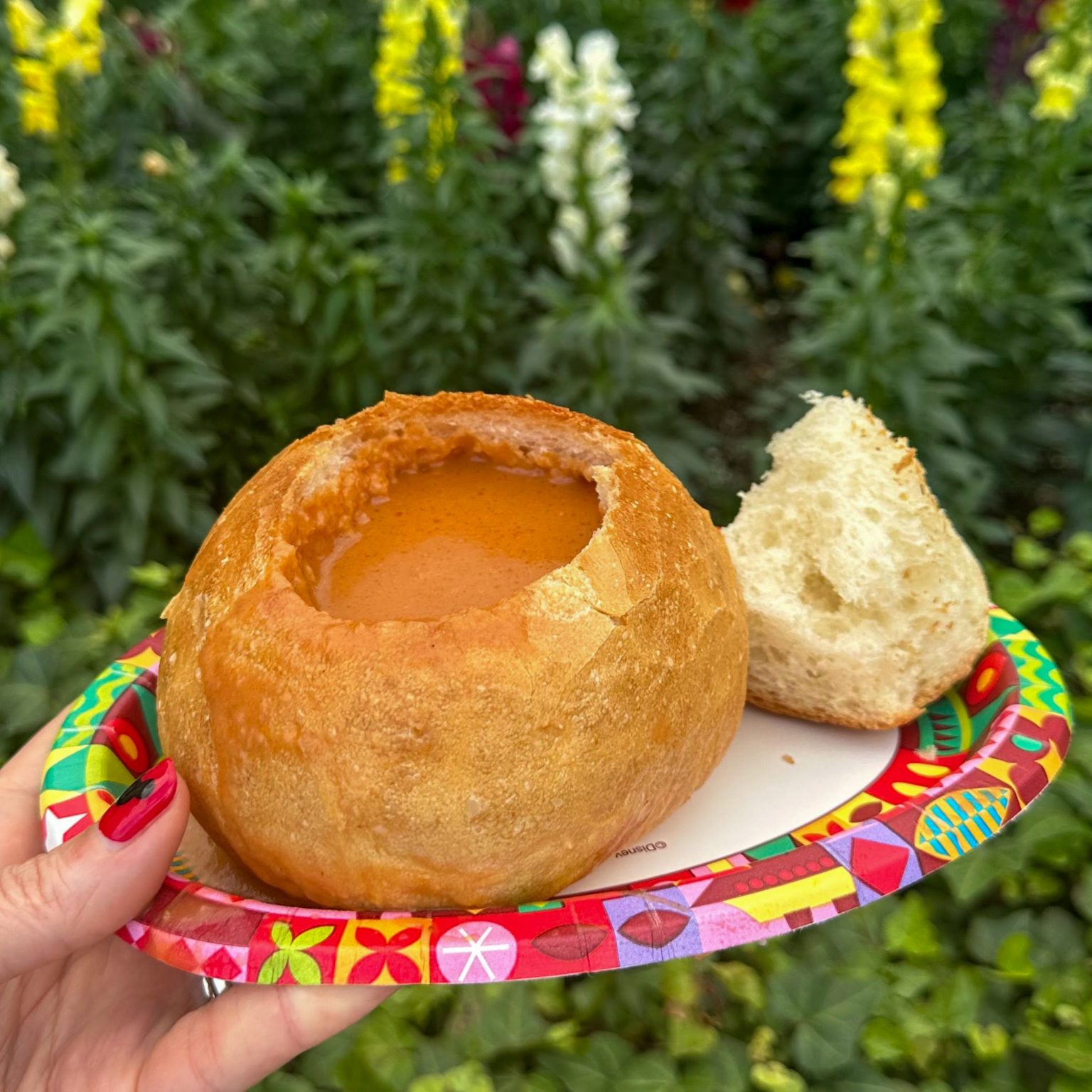 Best Quick Service At Disney World For $10 Or Less