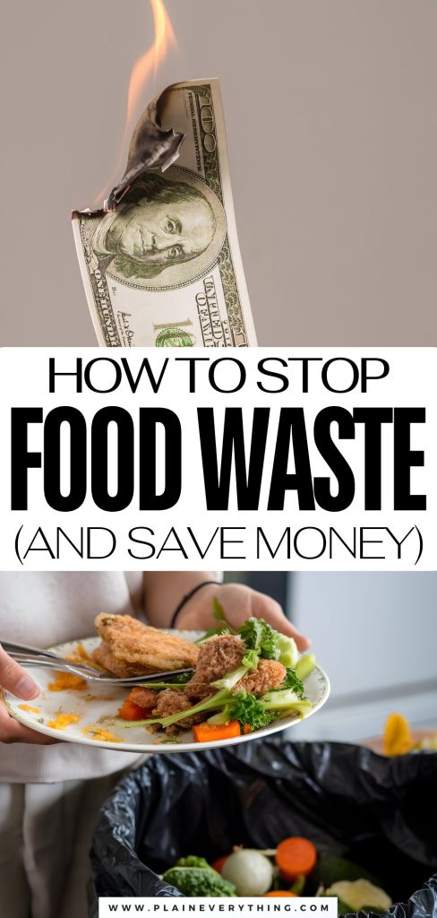 How To Stop Food Waste (and save money)